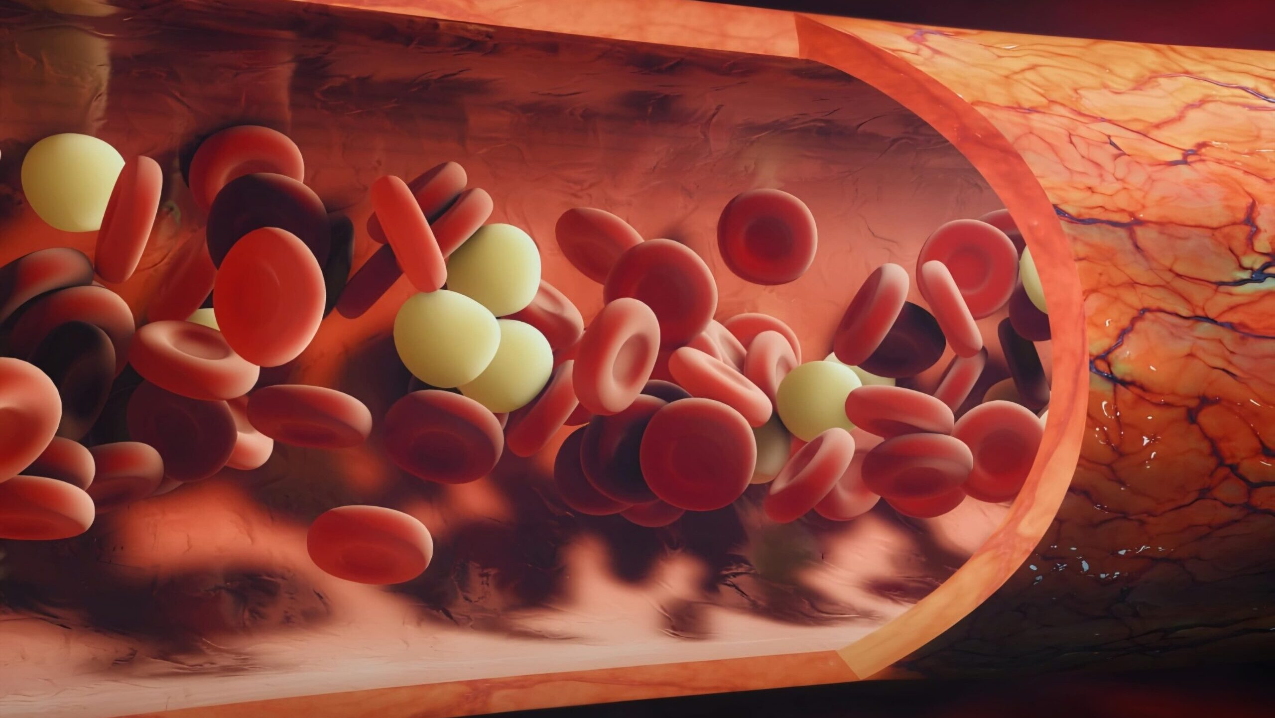 A new blood type was just discovered, and it's the rarest ever found ...