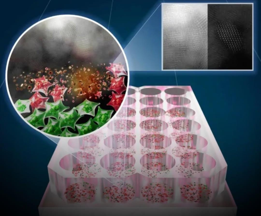30 minutes of LED light kills 92% of cancer cells without damaging ...